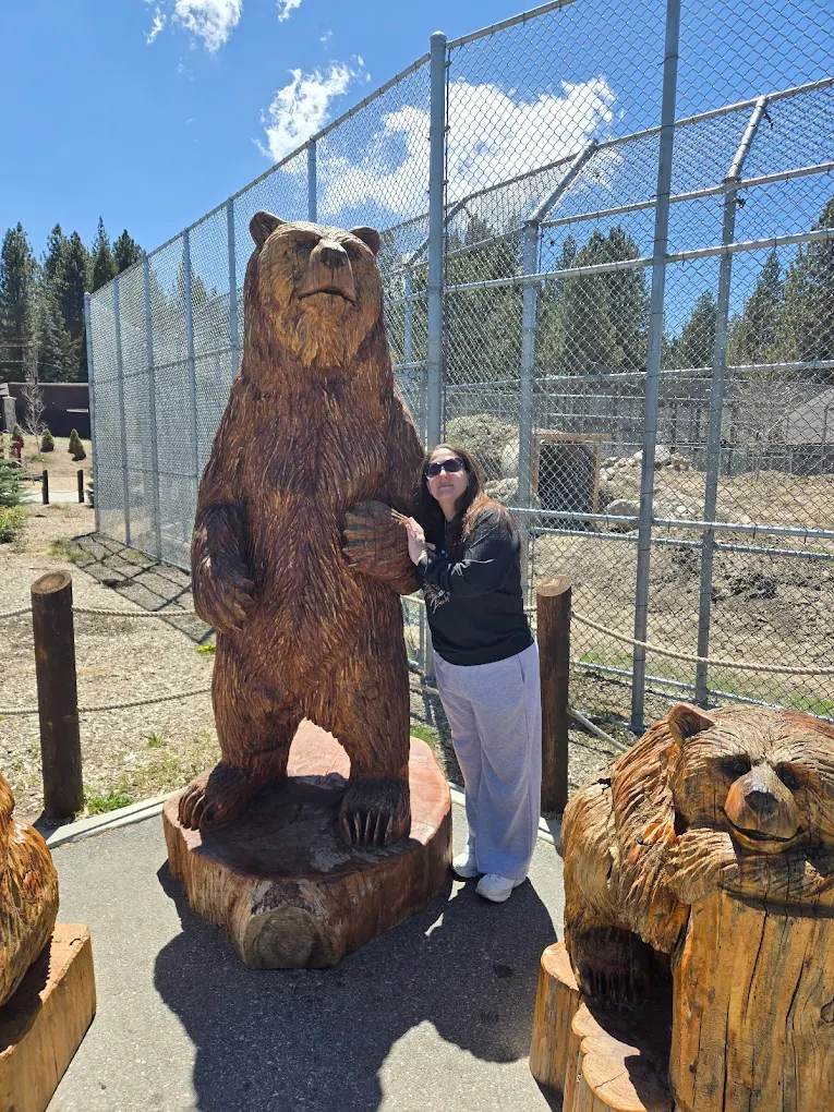 Big Bear Mountain Resort: Year-Round Alpine Thrills - Go Peak Retreats